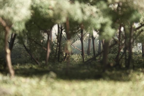 How to Make Small-Scale Super-Realistic Model Landscapes » TwistedSifter