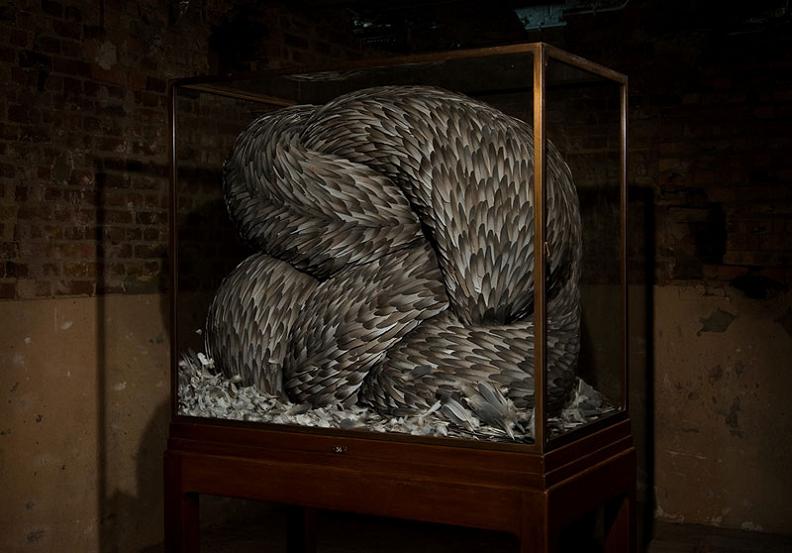 Incredible Feather Art by Kate MccGwire » TwistedSifter