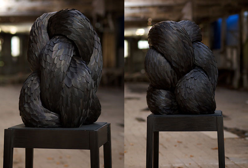 Incredible Feather Art by Kate MccGwire » TwistedSifter