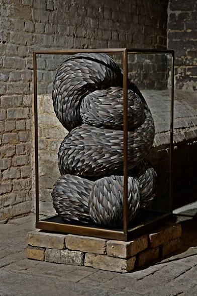 Incredible Feather Art by Kate MccGwire » TwistedSifter