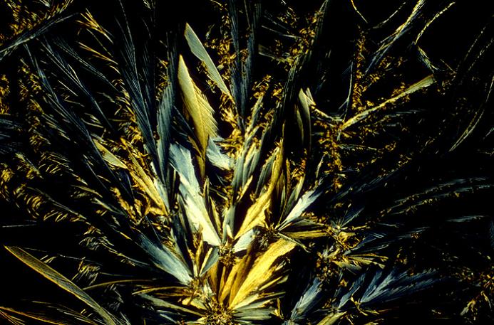 Alcoholic Art: Liquor Under a Microscope » TwistedSifter