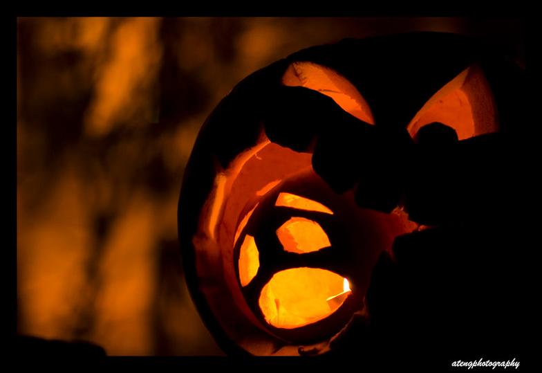 25 Mind-Blowing Halloween Pumpkins » TwistedSifter