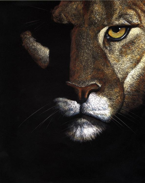The Incredible Scratchboard Art of Mark Summers [25 pics] » TwistedSifter