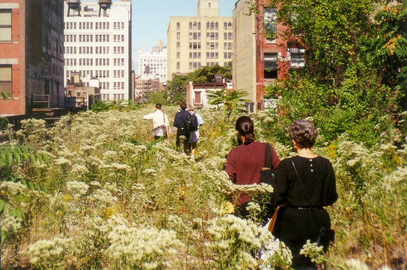 The High Line: New York's Park in the Sky [25 pics] - TwistedSifter