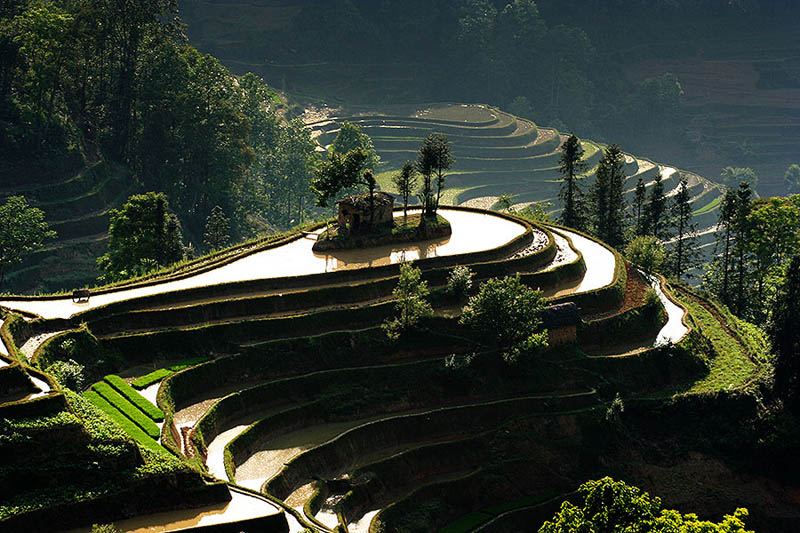 25 Unbelievable Photographs of Rice Terraces » TwistedSifter