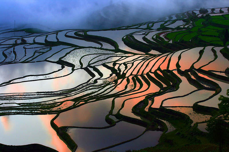 25 Unbelievable Photographs of Rice Terraces » TwistedSifter