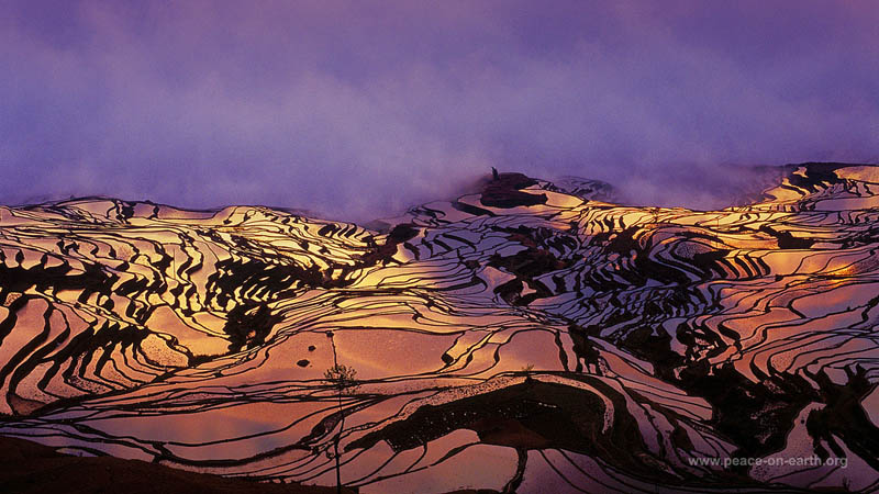 25 Unbelievable Photographs of Rice Terraces » TwistedSifter