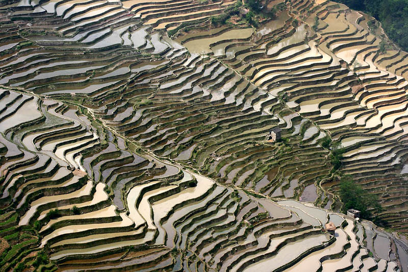 25 Unbelievable Photographs of Rice Terraces » TwistedSifter