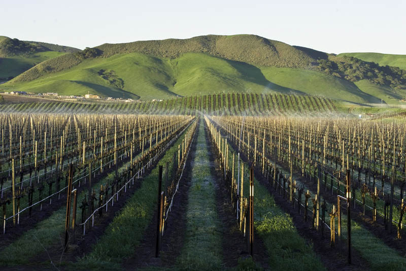 35 Gorgeous Vineyards Around the World » TwistedSifter