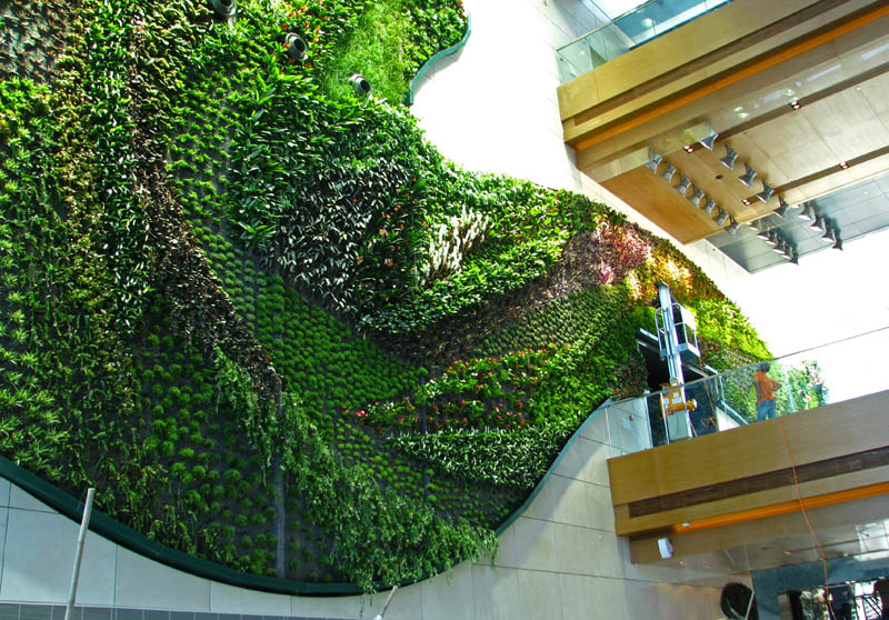 15 Incredible Vertical Gardens Around the World » TwistedSifter