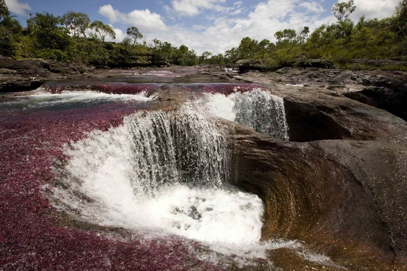 The River of Five Colors: Cano Cristales, Colombia » TwistedSifter