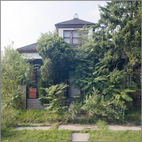Feral Houses by James D. Griffioen - TwistedSifter