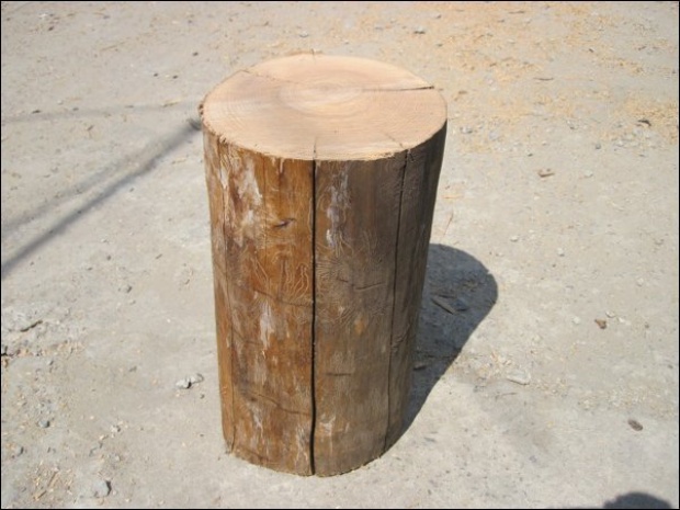 How To Make a Stove from a Single Log » TwistedSifter