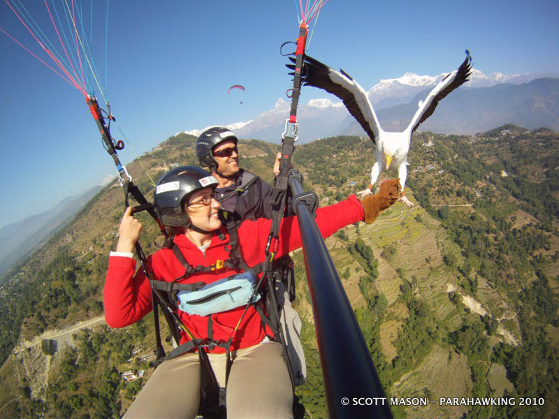 The Ultimate Guide to Parahawking in Nepal » TwistedSifter