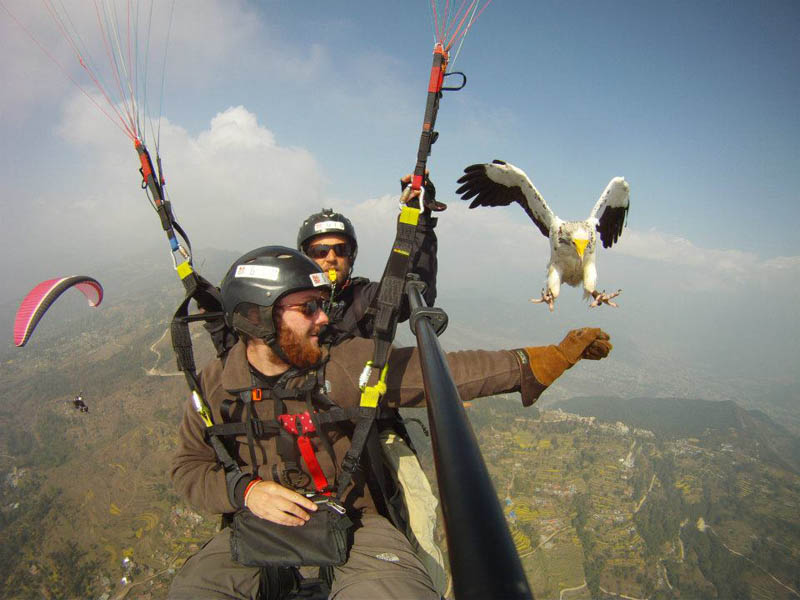 The Ultimate Guide to Parahawking in Nepal » TwistedSifter