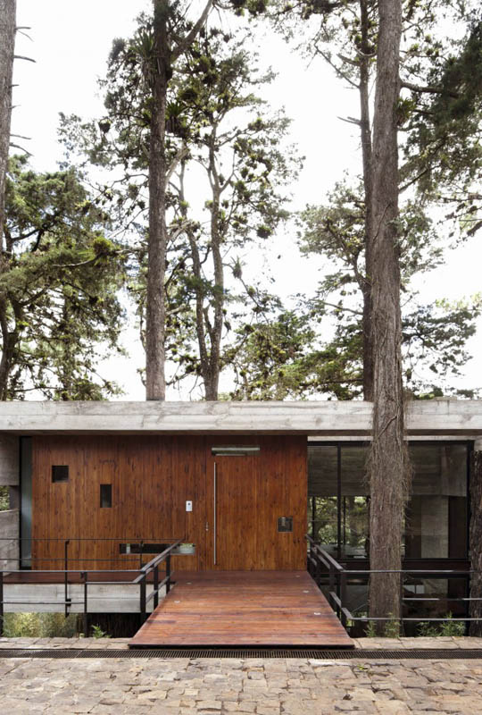 An Incredible Home in the Forest With Trees Growing Through It ...
