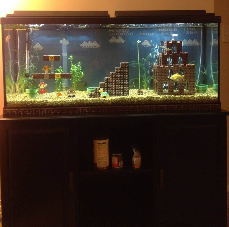 This Super Mario Fish Tank is Awesome » TwistedSifter