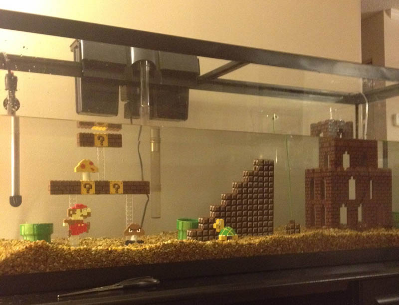 This Super Mario Fish Tank is Awesome » TwistedSifter