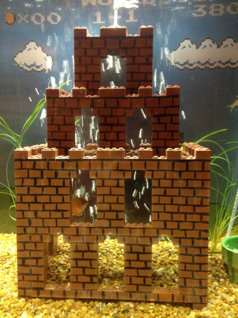 This Super Mario Fish Tank is Awesome » TwistedSifter