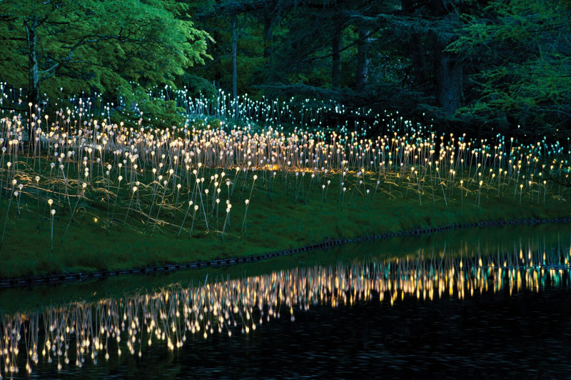 Bruce Munro’s Light Installations at Longwood Gardens » TwistedSifter