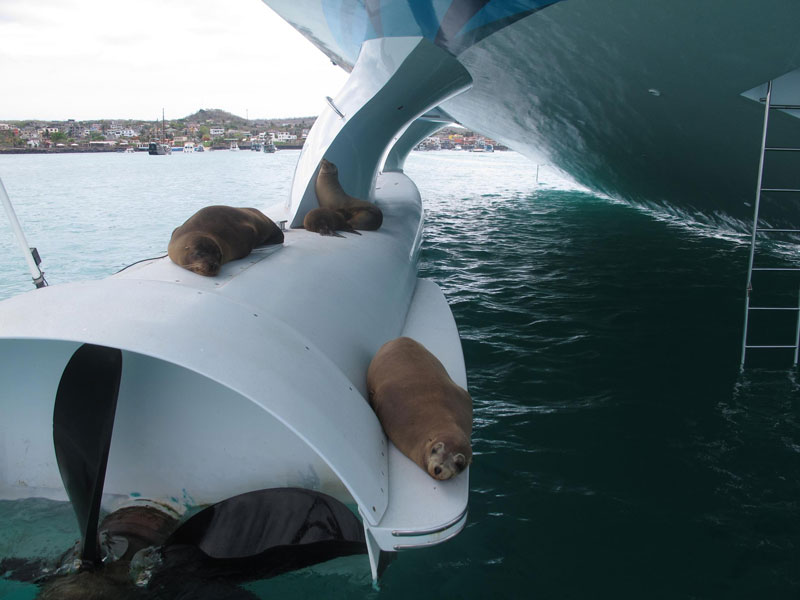 The Solar Powered Boat that Circumnavigated the World » TwistedSifter
