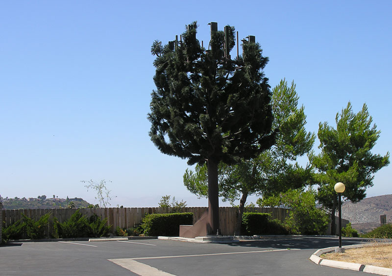 25 Cell Phone Towers Disguised to Look Like Something Else » TwistedSifter