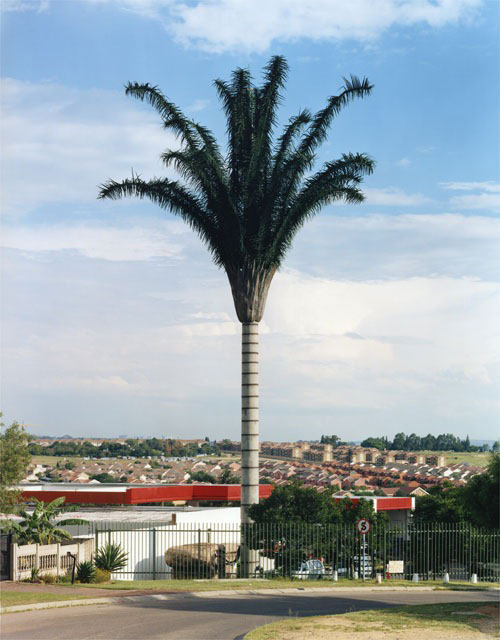 25 Cell Phone Towers Disguised to Look Like Something Else » TwistedSifter