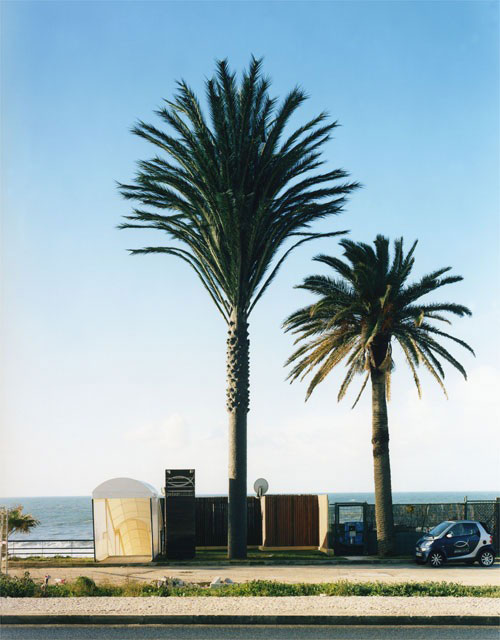 25 Cell Phone Towers Disguised to Look Like Something Else » TwistedSifter