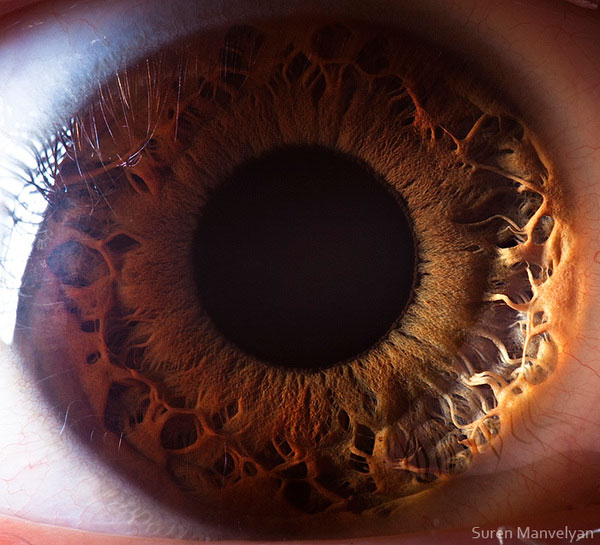 21 Extreme Close Ups of the Human Eye » TwistedSifter