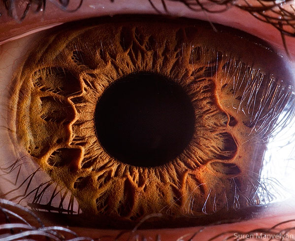 21 Extreme Close Ups of the Human Eye » TwistedSifter