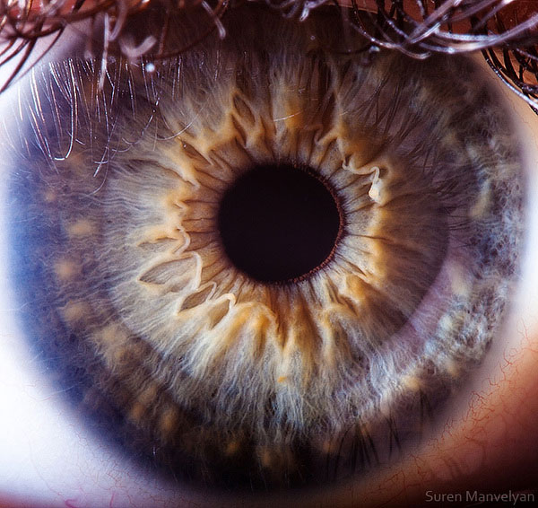 21 Extreme Close Ups of the Human Eye » TwistedSifter