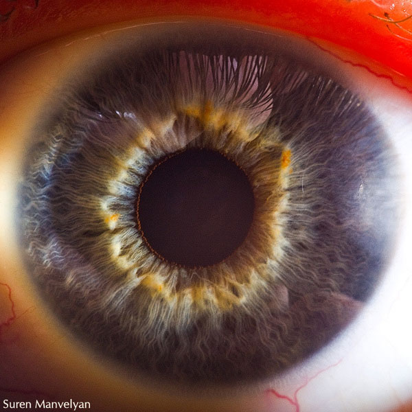 21 Extreme Close Ups of the Human Eye » TwistedSifter