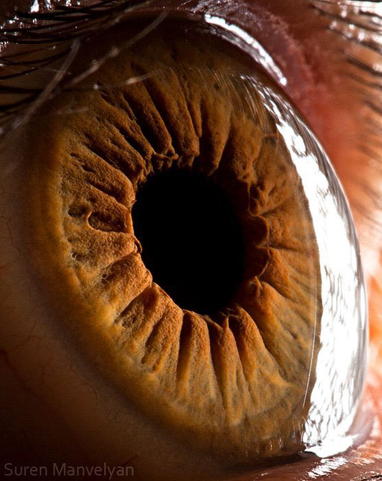 21 Extreme Close Ups of the Human Eye » TwistedSifter