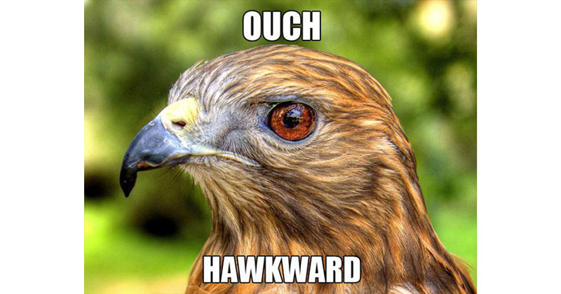 hawkward » TwistedSifter