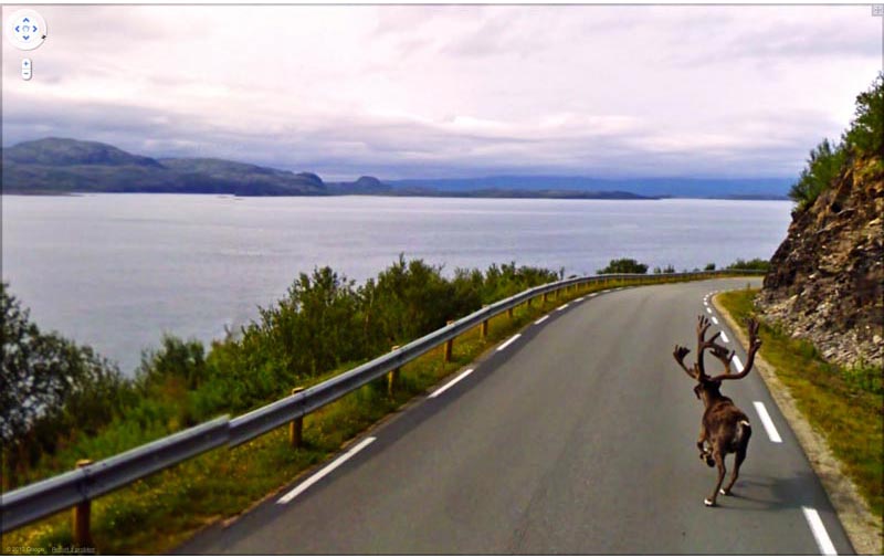 25 Pictures of Life Captured by Google Street View » TwistedSifter