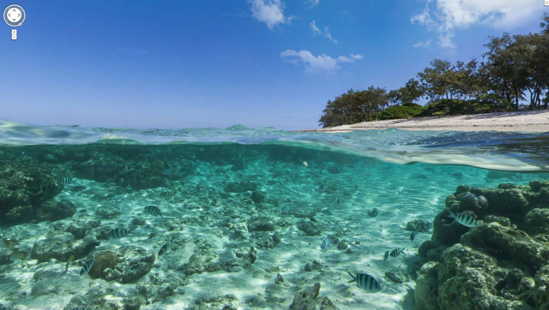 Google Adds First Underwater Panoramas to Maps and Street View ...