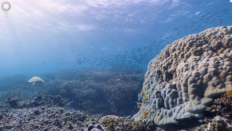 Google Adds First Underwater Panoramas to Maps and Street View ...