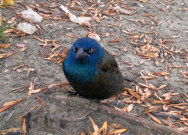 The Shirk Report – Volume 178 » TwistedSifter