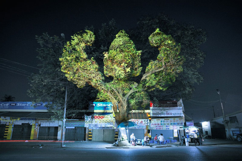 Haunting 3D Images Projected Onto Trees » TwistedSifter