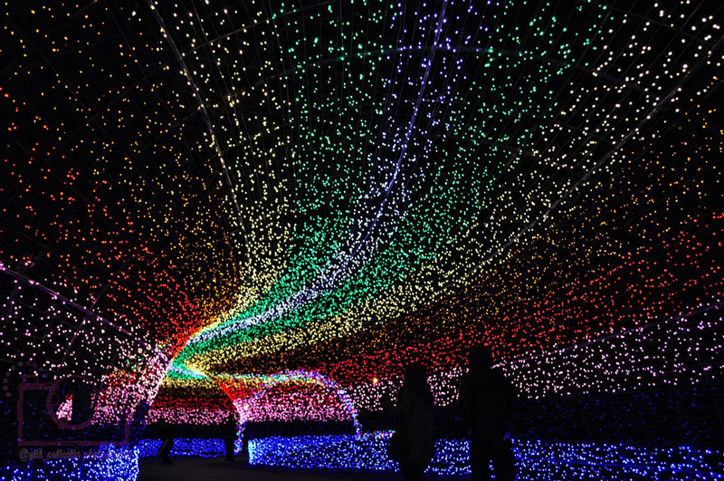 The Incredible Winter Light Festival in Japan » TwistedSifter