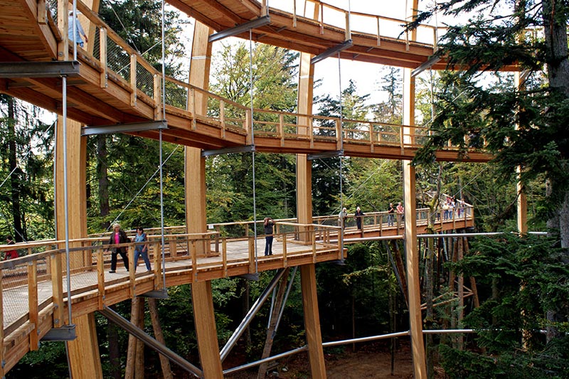 The Longest Tree Top Walk in the World » TwistedSifter