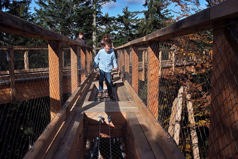 The Longest Tree Top Walk in the World » TwistedSifter