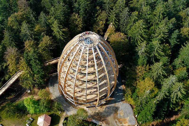 The Longest Tree Top Walk in the World » TwistedSifter