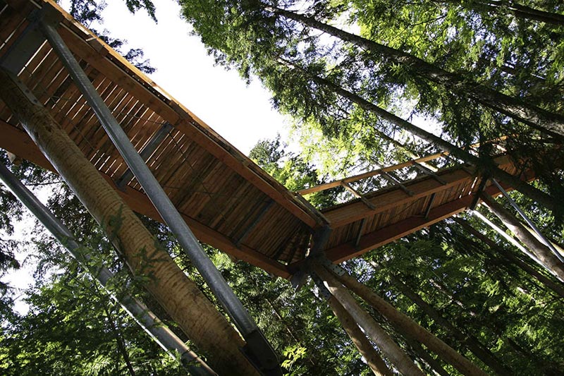 The Longest Tree Top Walk in the World - TwistedSifter