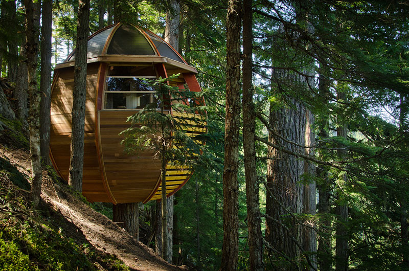 The HemLoft: A Secret Tree House in the Woods » TwistedSifter