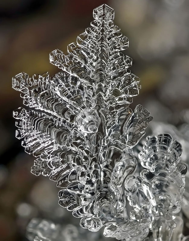 Macro Photos of Individual Snowflakes - TwistedSifter