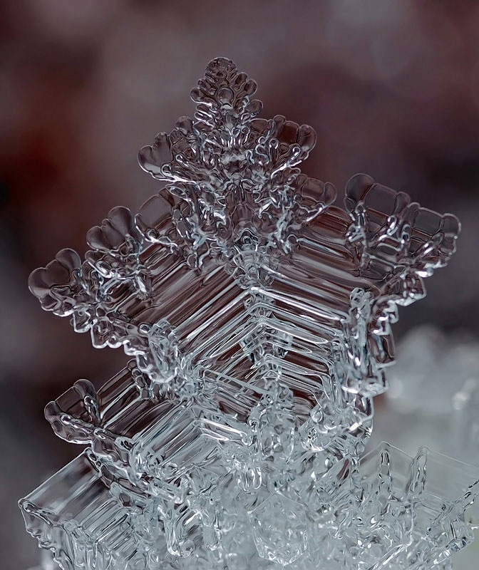 Macro Photos of Individual Snowflakes - TwistedSifter