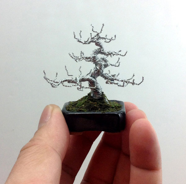 Miniature Bonsai Tree Wire Sculptures by Ken To » TwistedSifter
