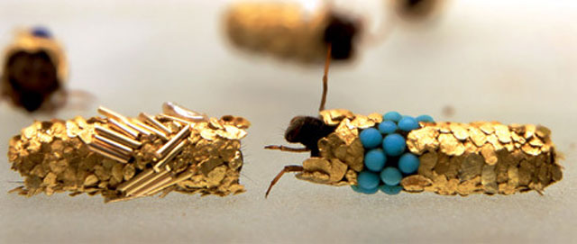 The Ornate Protective Cases of Caddisfly Larvae » TwistedSifter