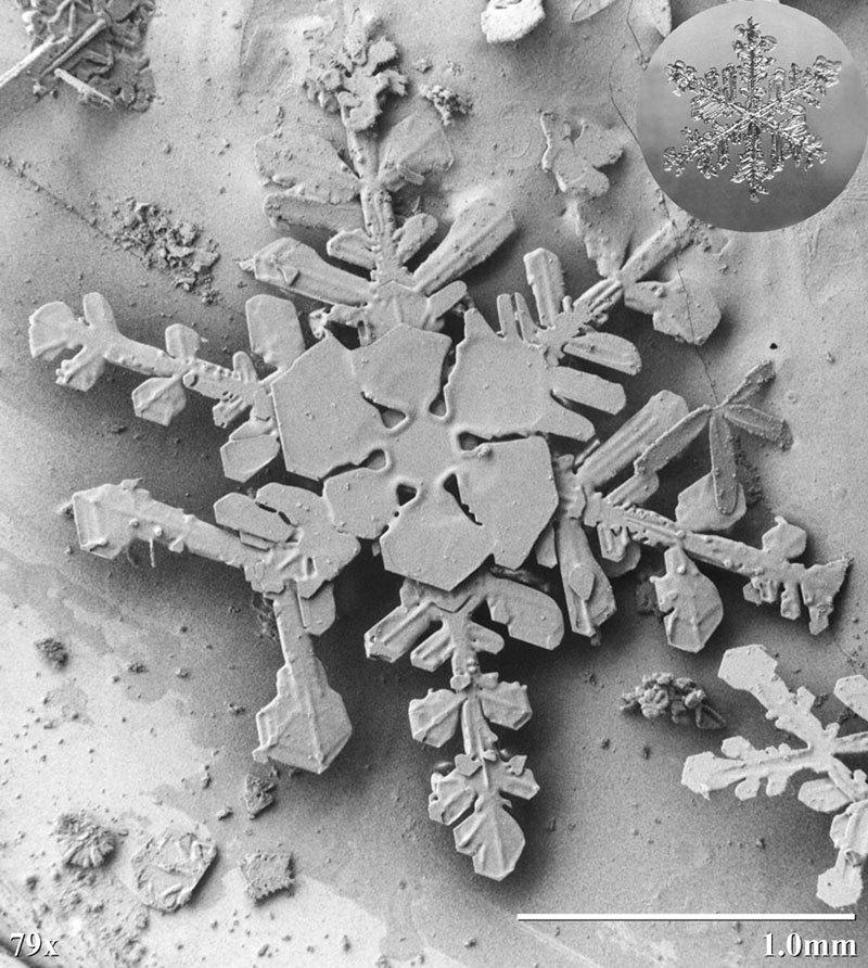 25 Microscopic Images of Snow Crystals » TwistedSifter